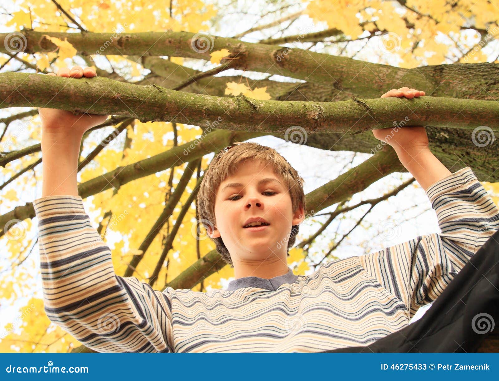 Boy standing on the tree stock image. Image of fall, hang - 46275433