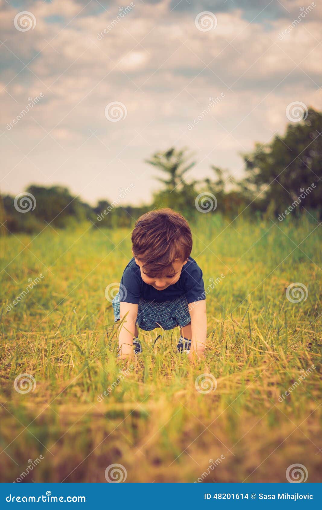 Boy standing up in a field stock photo. Image of male - 48201614