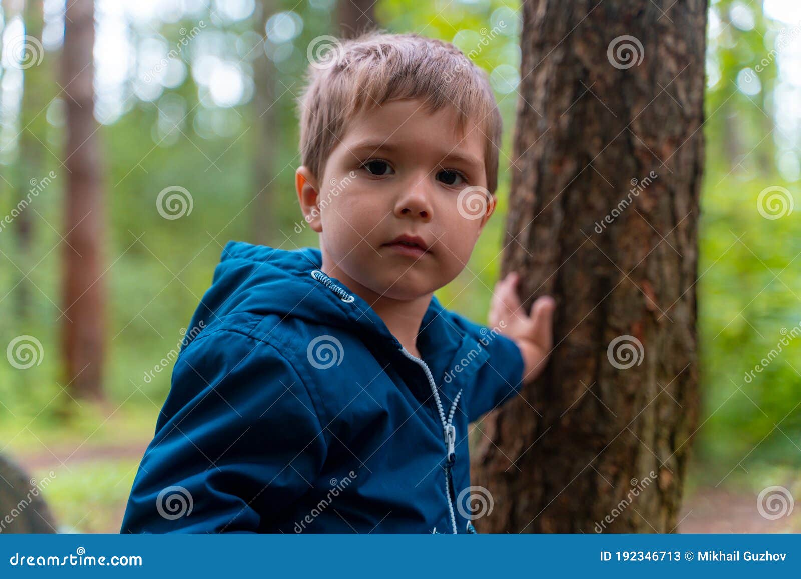 A Boy Stands Near a Tree in a Park Stock Image - Image of childhood ...