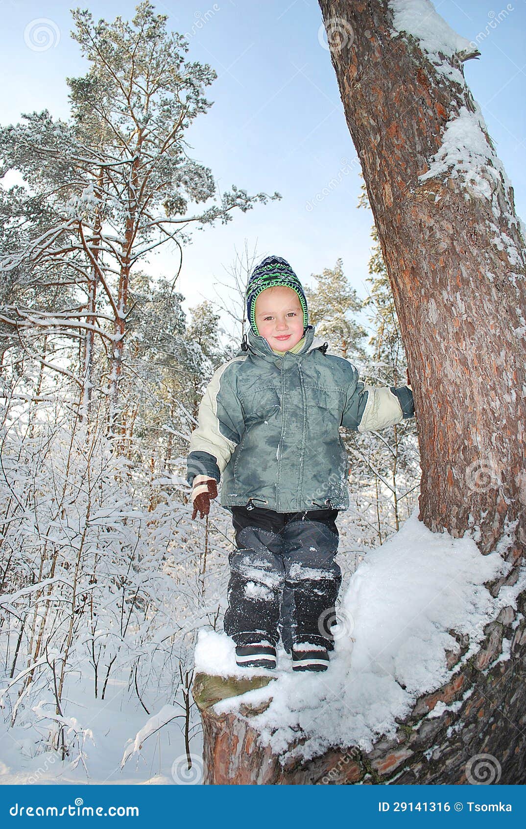 Boy stands on a tree stock photo. Image of cheerful, beauty - 29141316