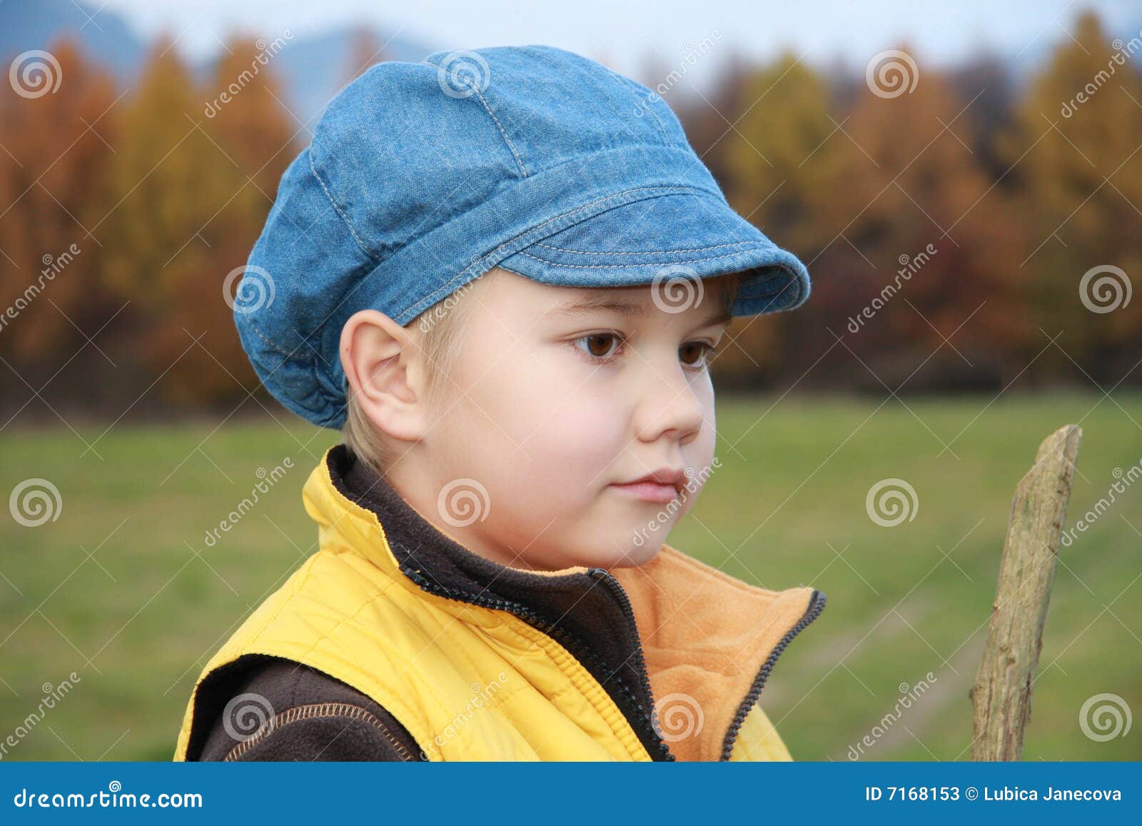 Boy with stick stock image. Image of portraits, children - 7168153