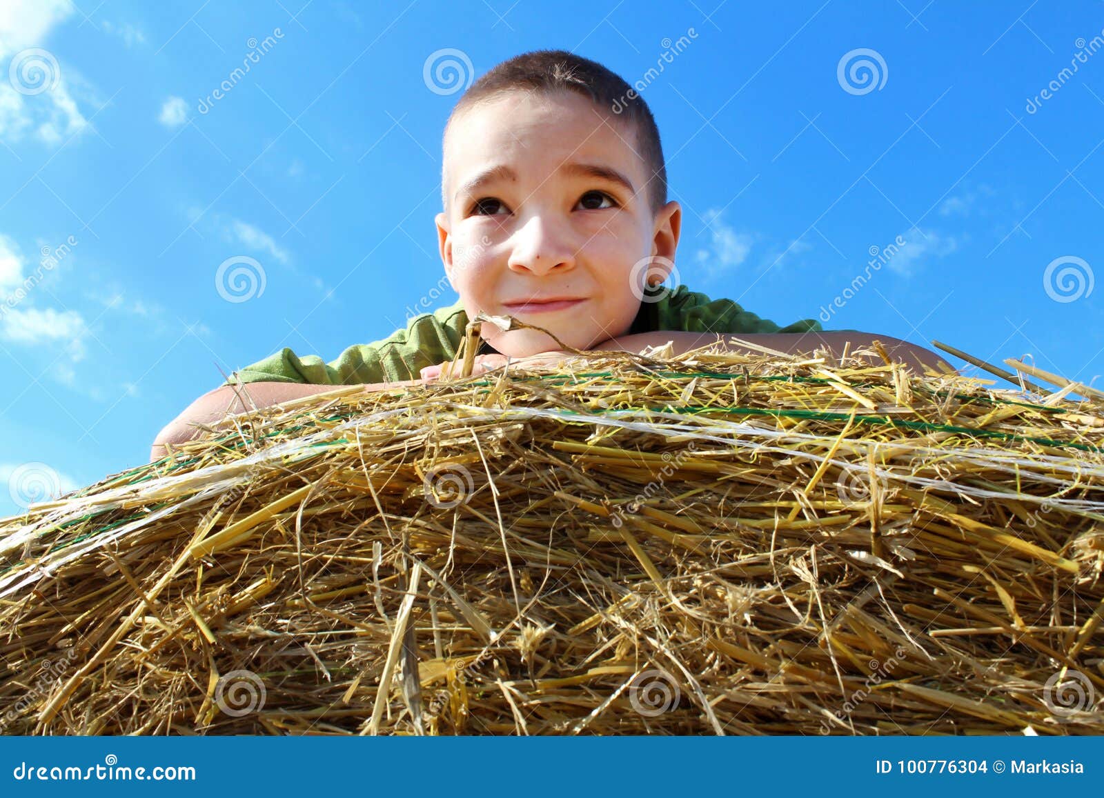 Boy on straw. stock photo. Image of portrait, field - 100776304