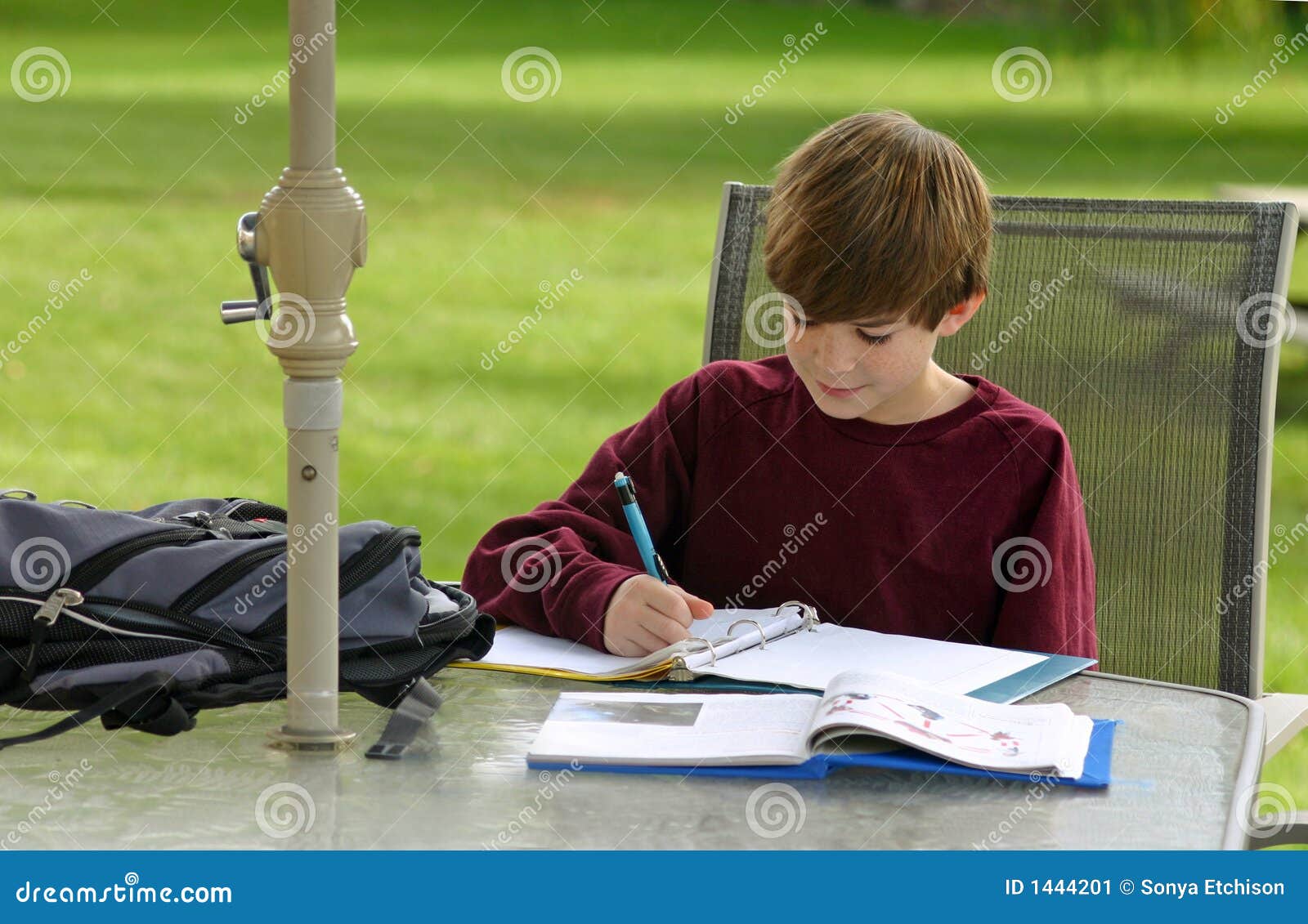 Boy Studying stock image. Image of paper, education, cute - 1444201