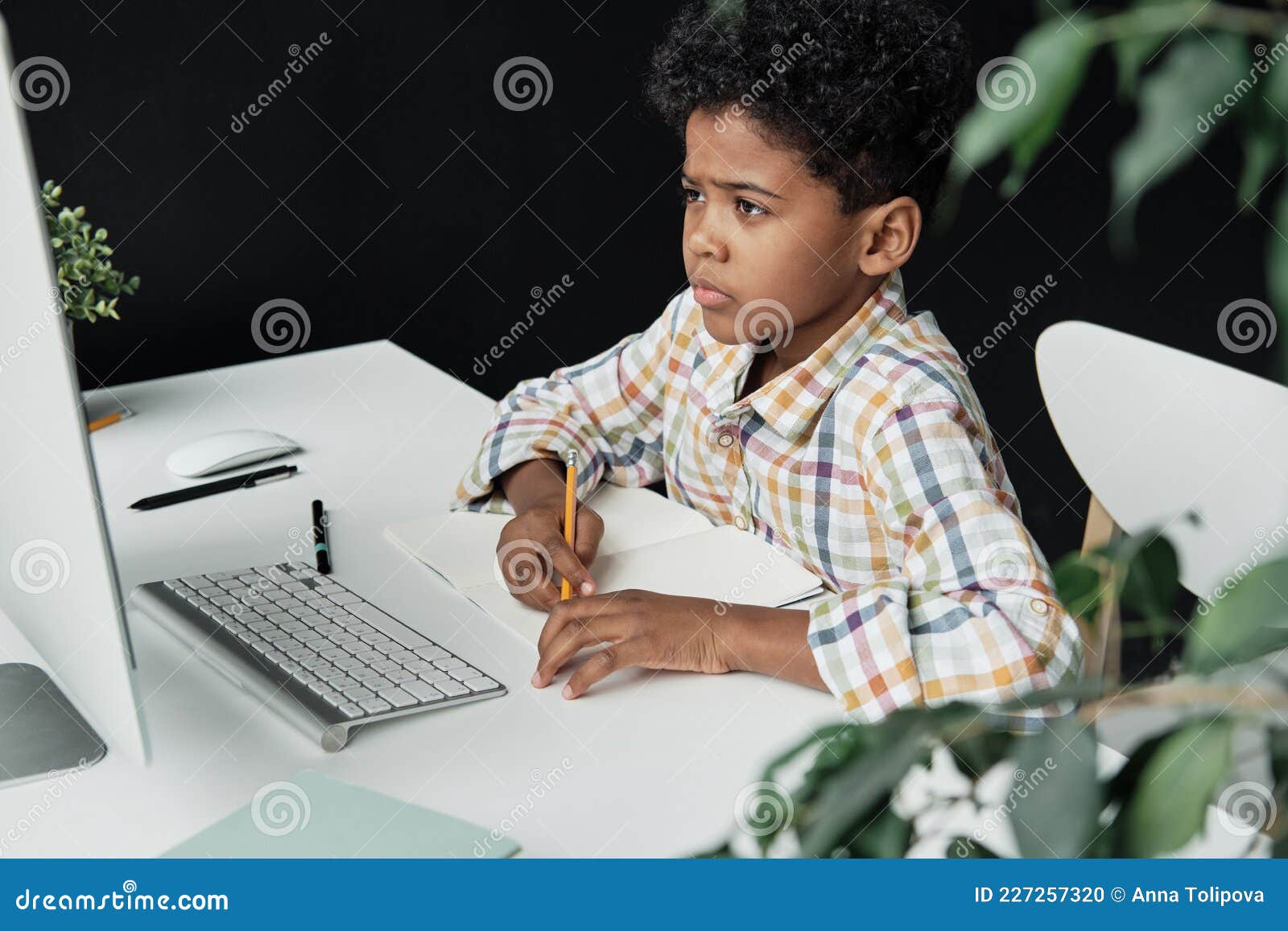 Boy studying on computer stock photo. Image of occupation - 227257320