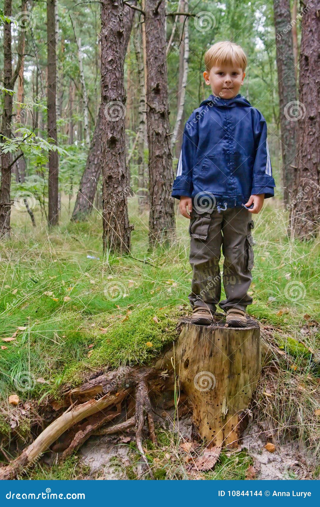 Boy on a Stump stock photo. Image of cute, human, young - 10844144