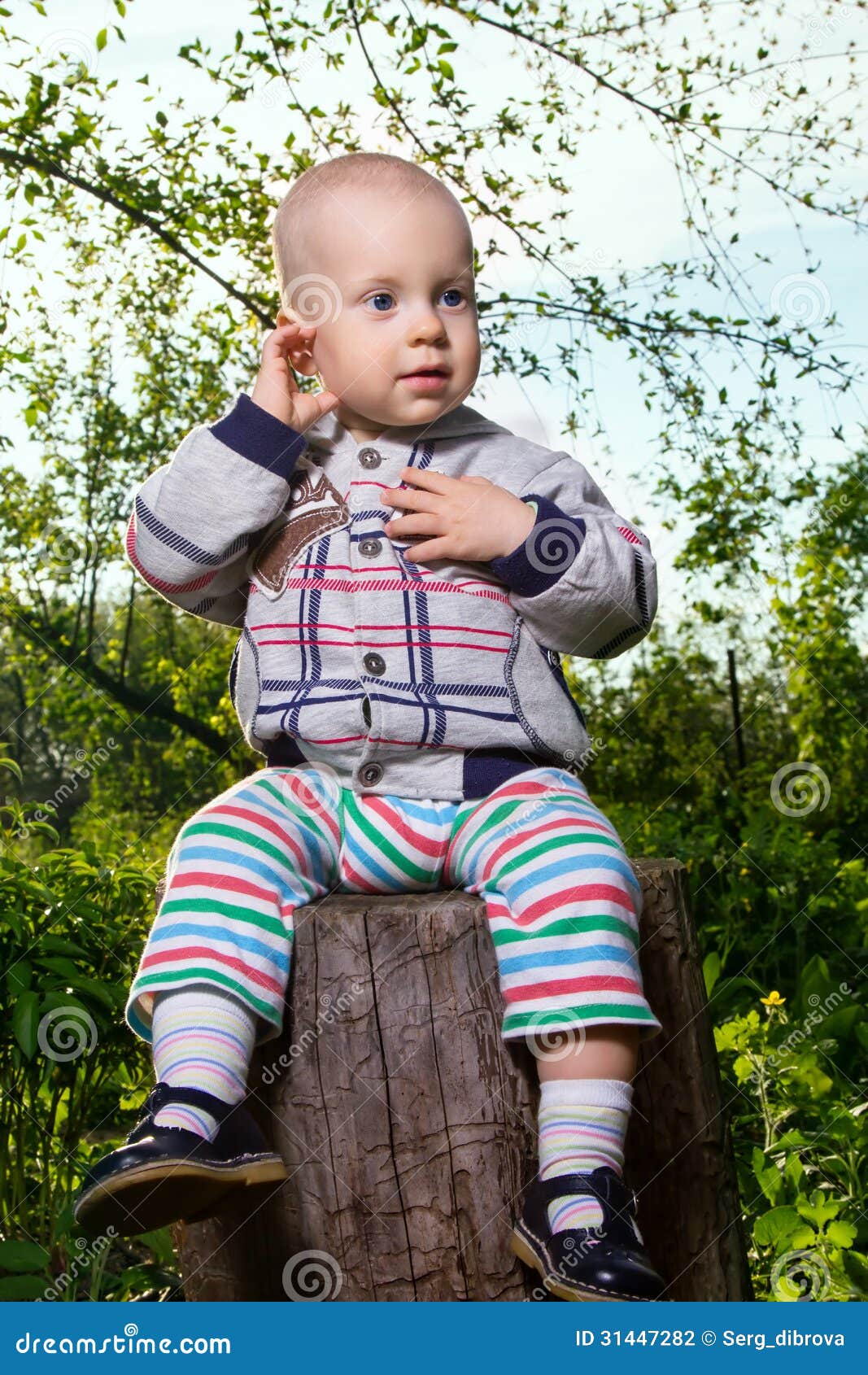 Boy on stump stock photo. Image of outdoor, looking, family - 31447282