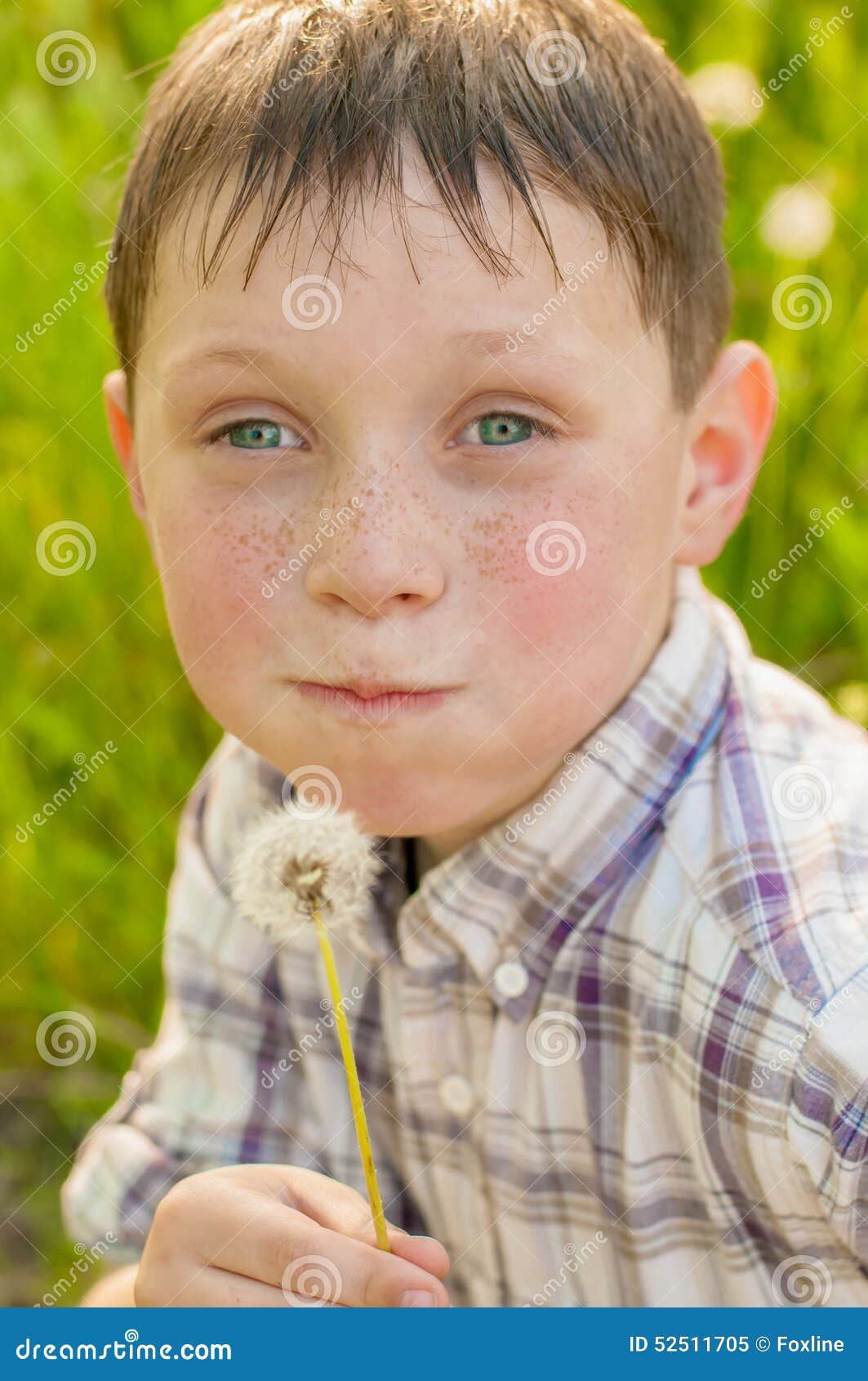 Boy on Summer Nature with Dandelions Stock Image - Image of preschooler ...