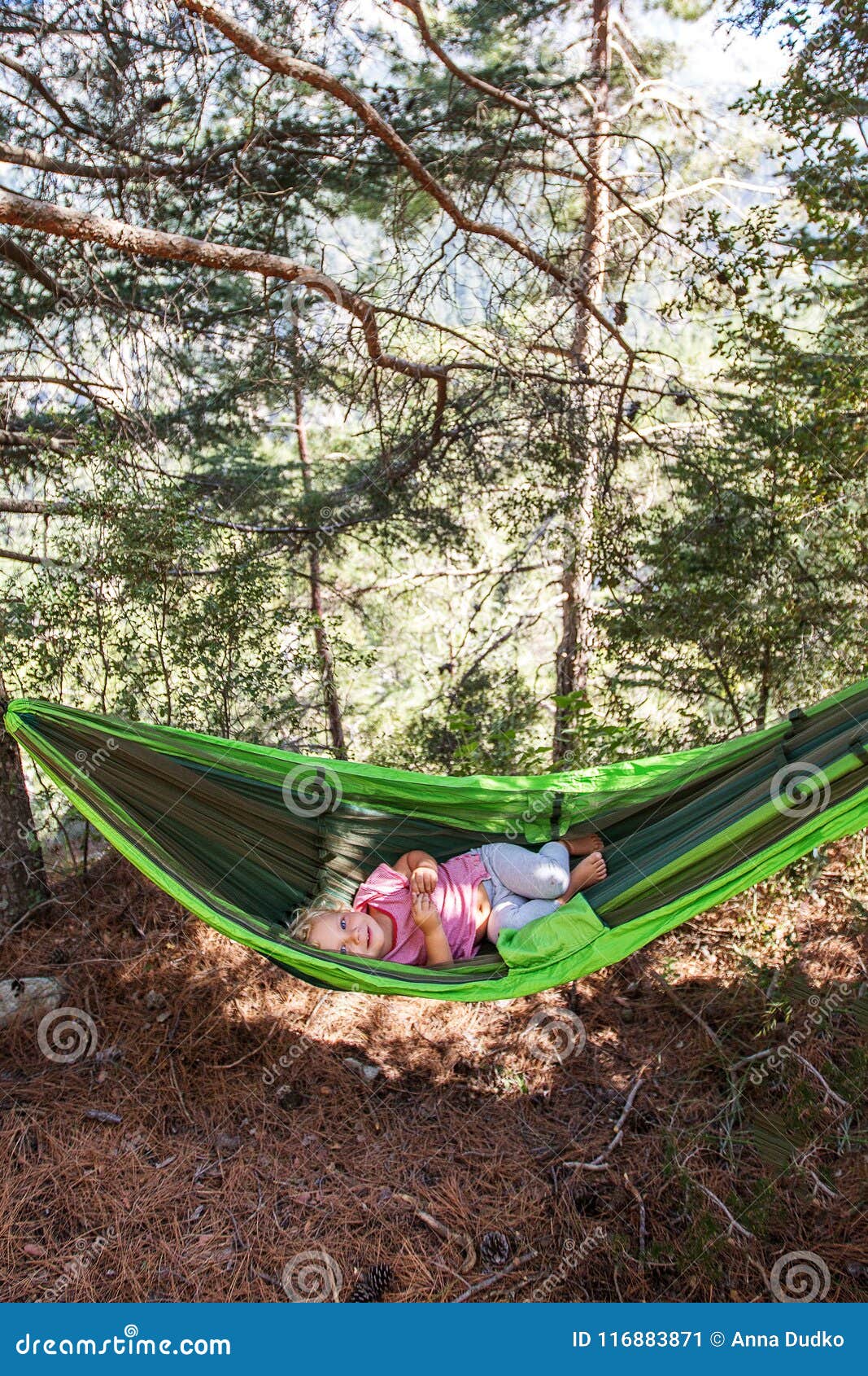 Boy is Swinging in a Hammock Stock Image - Image of outdoor, caucasian ...