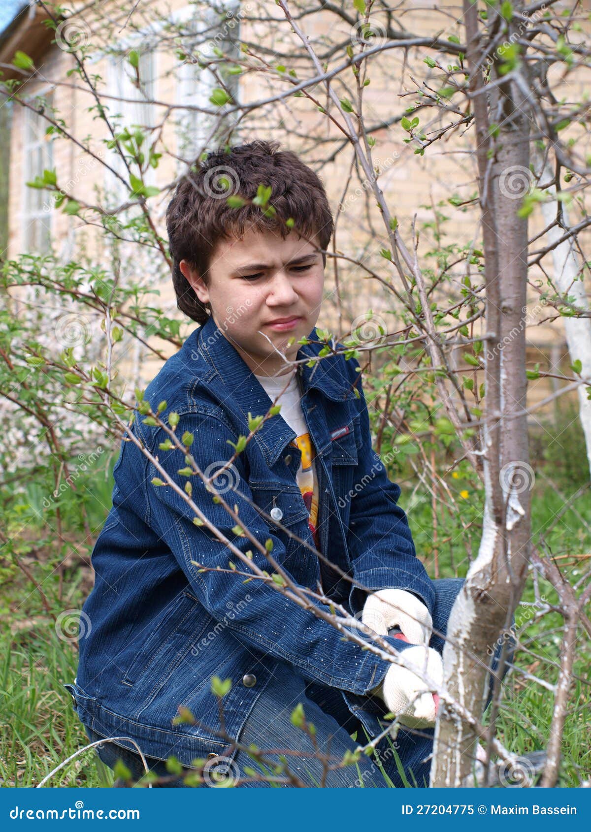 A Boy Takes Care of the Trees in the Garden Stock Image - Image of ...