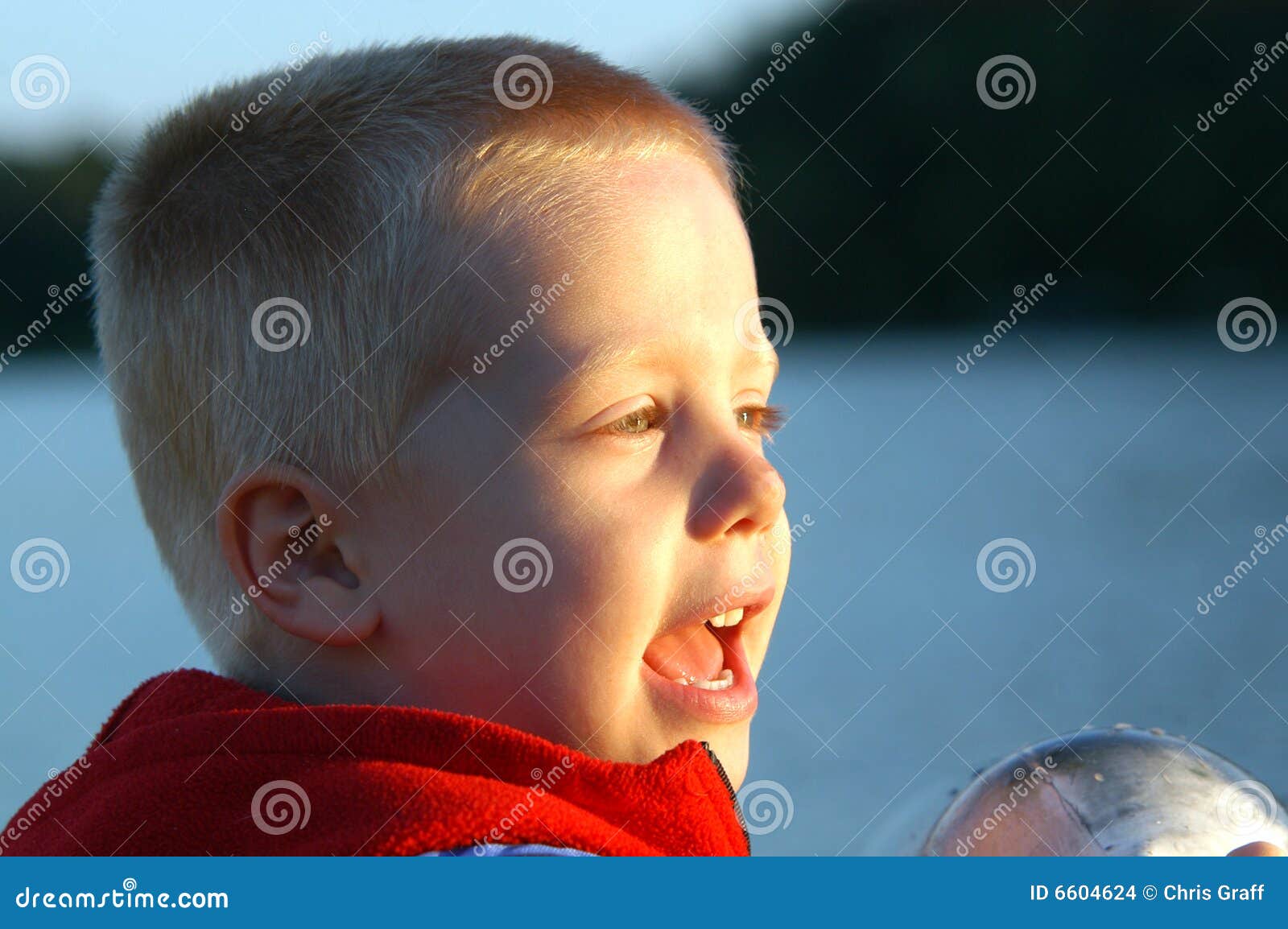 Boy Talking stock photo. Image of sunny, eyes, children - 6604624