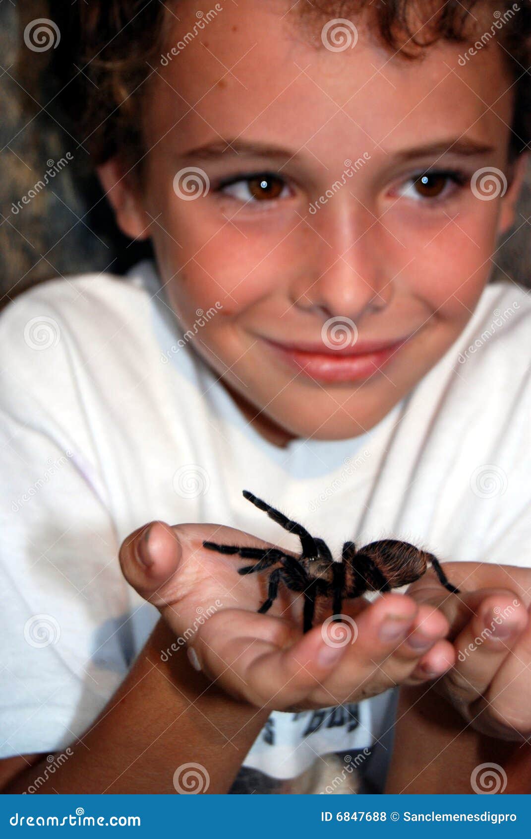 Boy with tarantula stock photo. Image of tarantula, child - 6847688