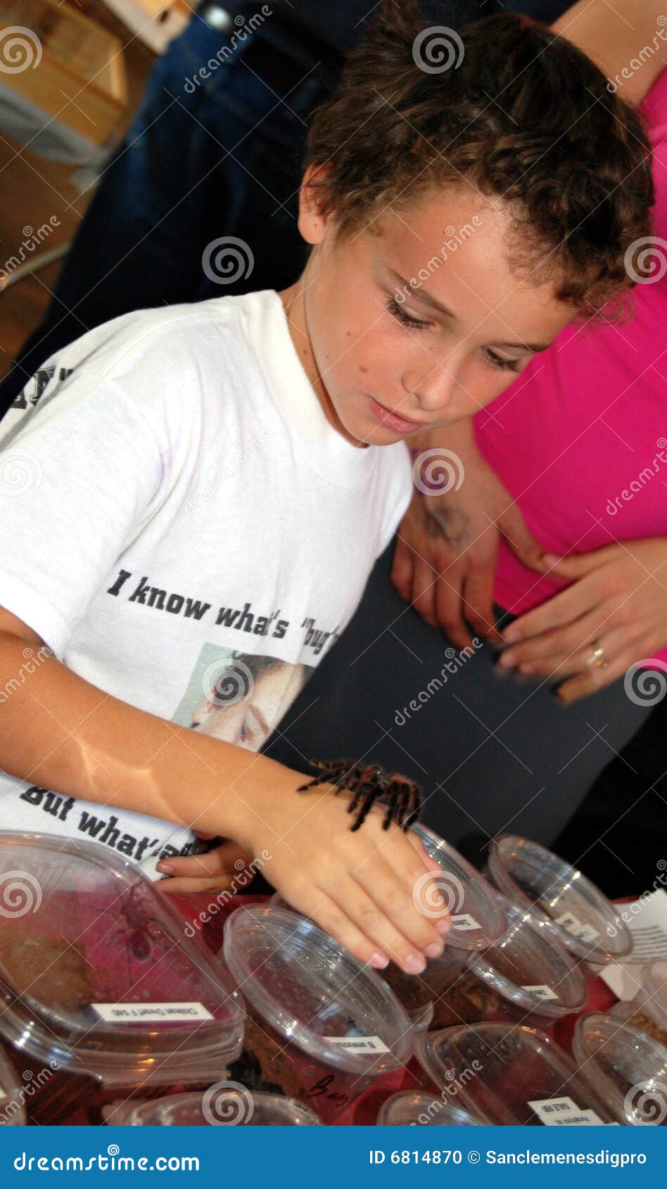 Boy with tarantula on hand stock photo. Image of spider - 6814870