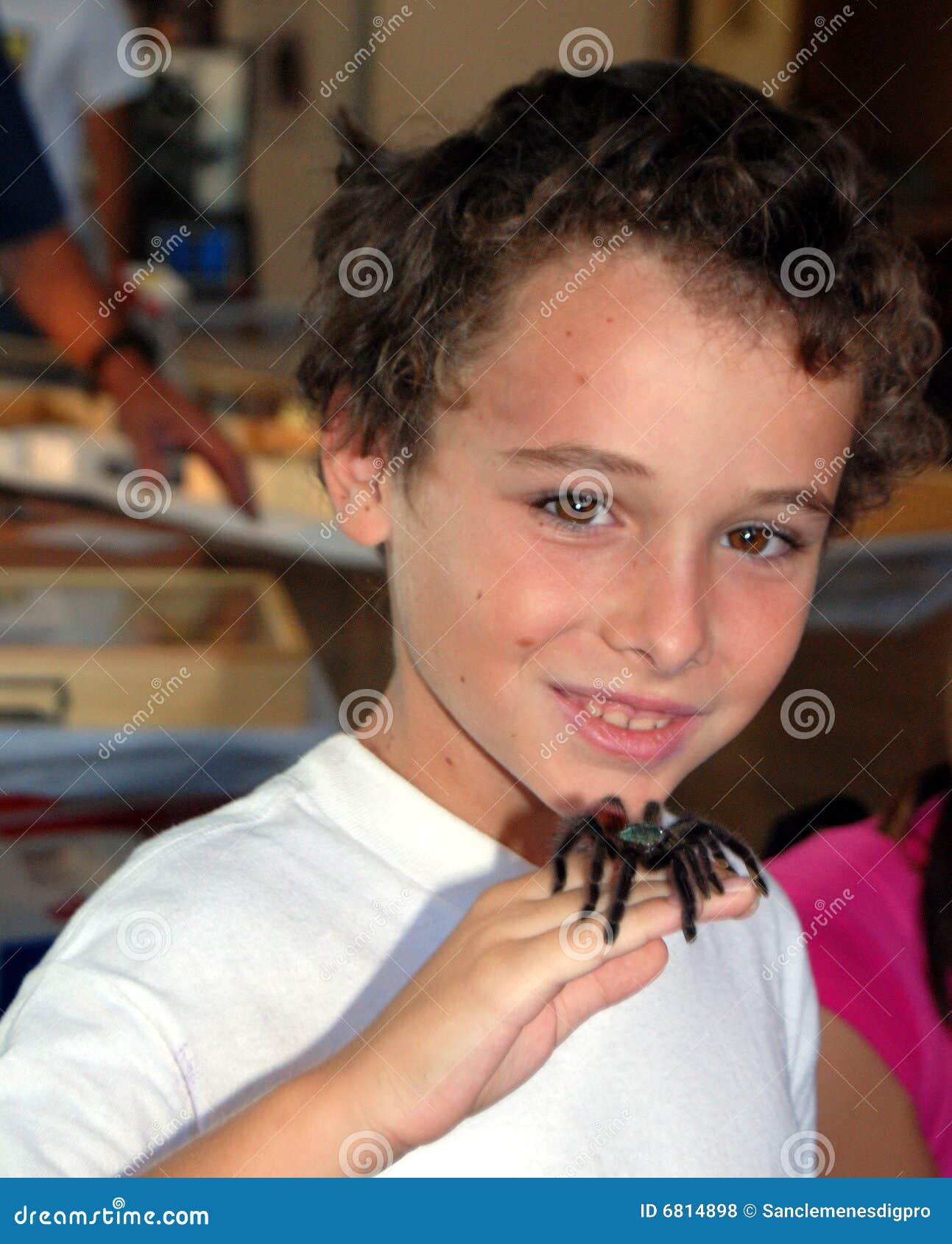 Boy with tarantula on hand stock photo. Image of insects - 6814898