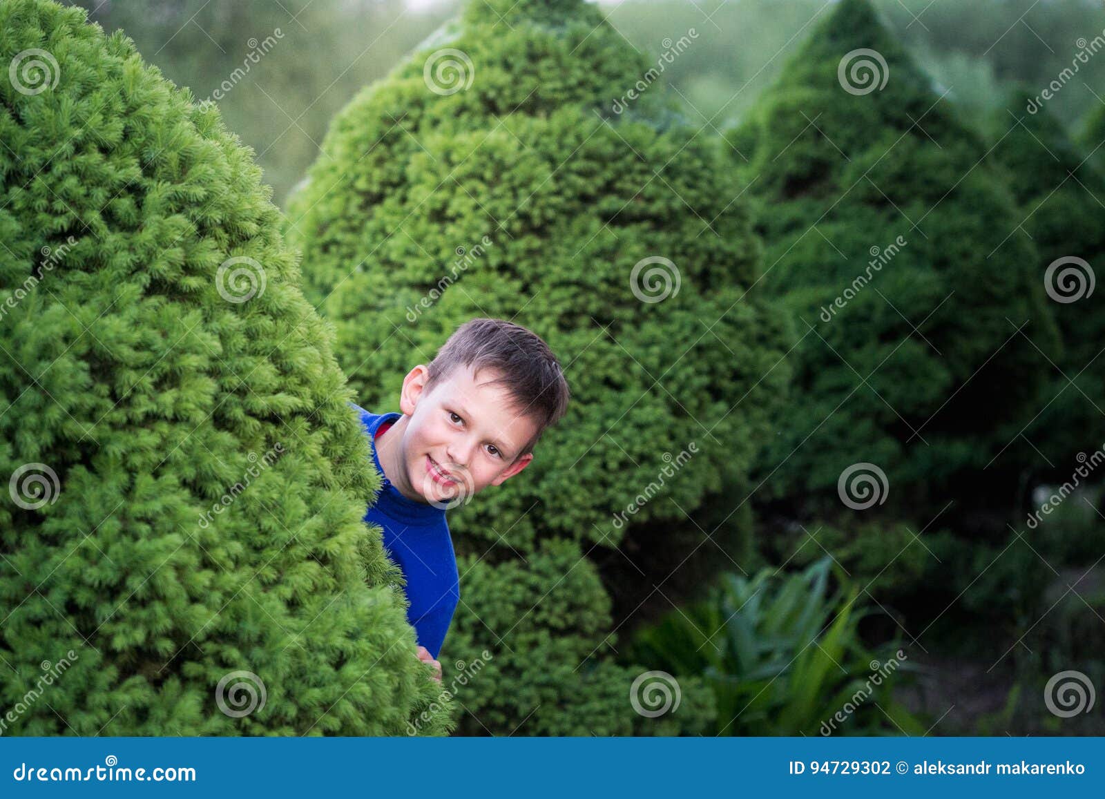 Boy Teenager Peeking Out of a Bush Stock Photo - Image of face, game ...