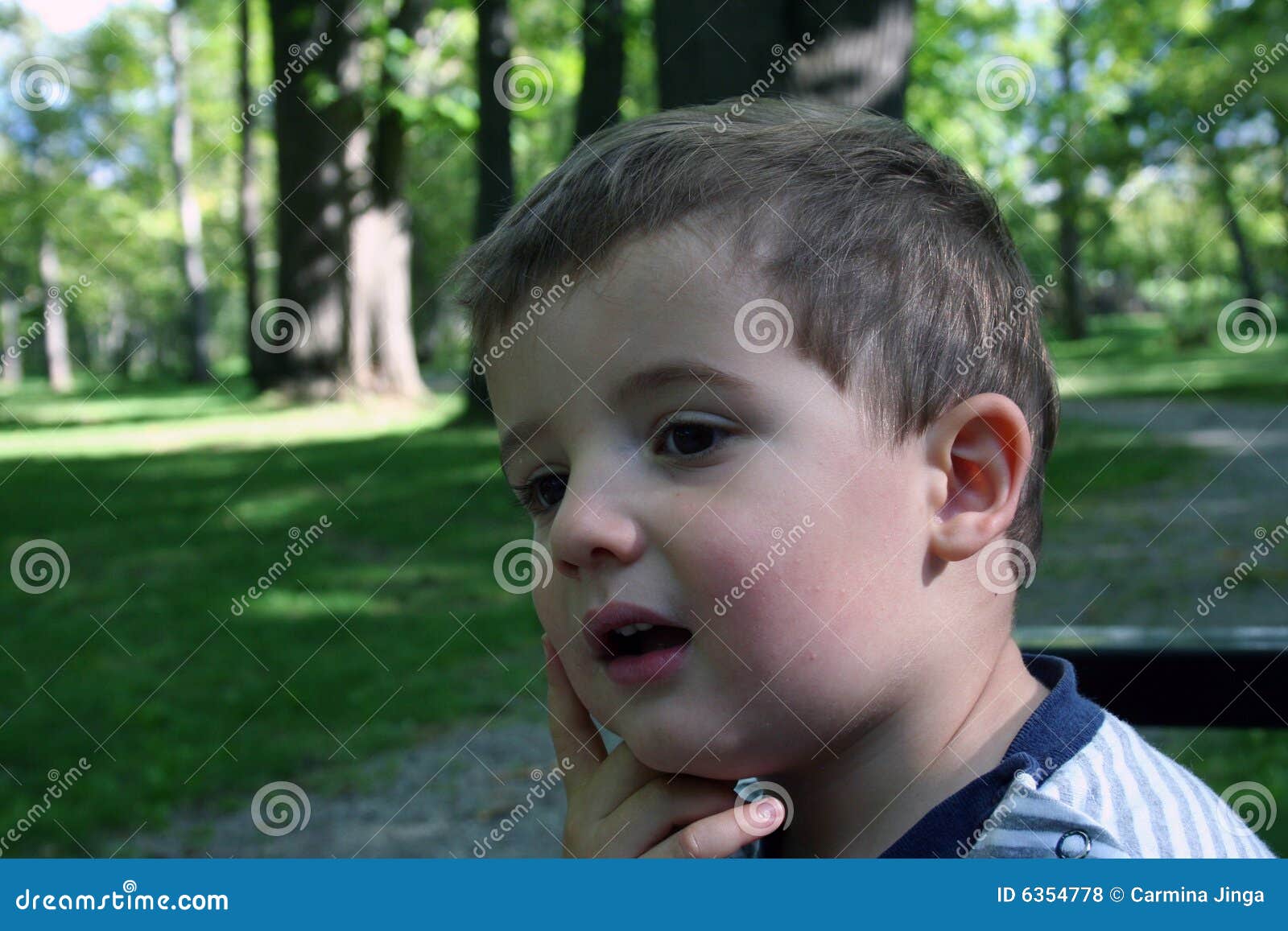 Boy Thinking Picture. Image: 6354778