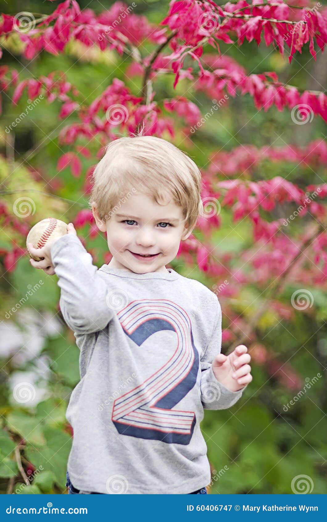 Boy throwing baseball stock image. Image of summer, casual - 60406747