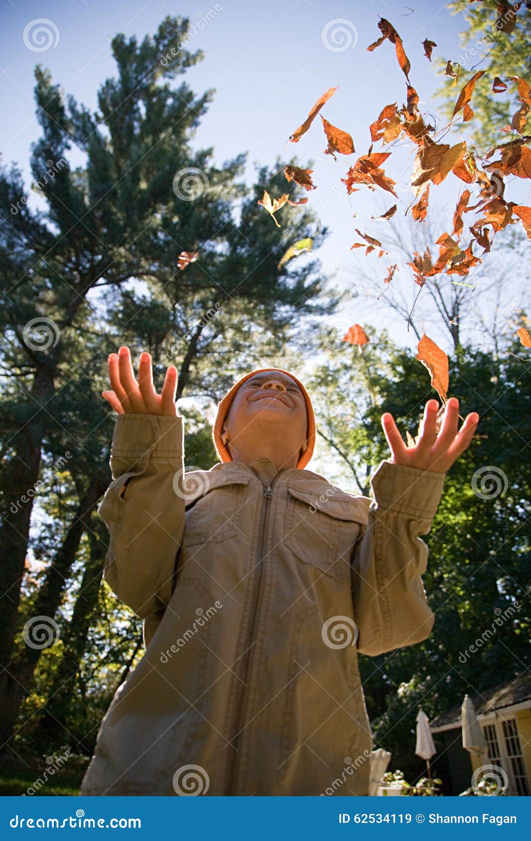 Boy throwing leaves stock image. Image of happiness, american - 62534119