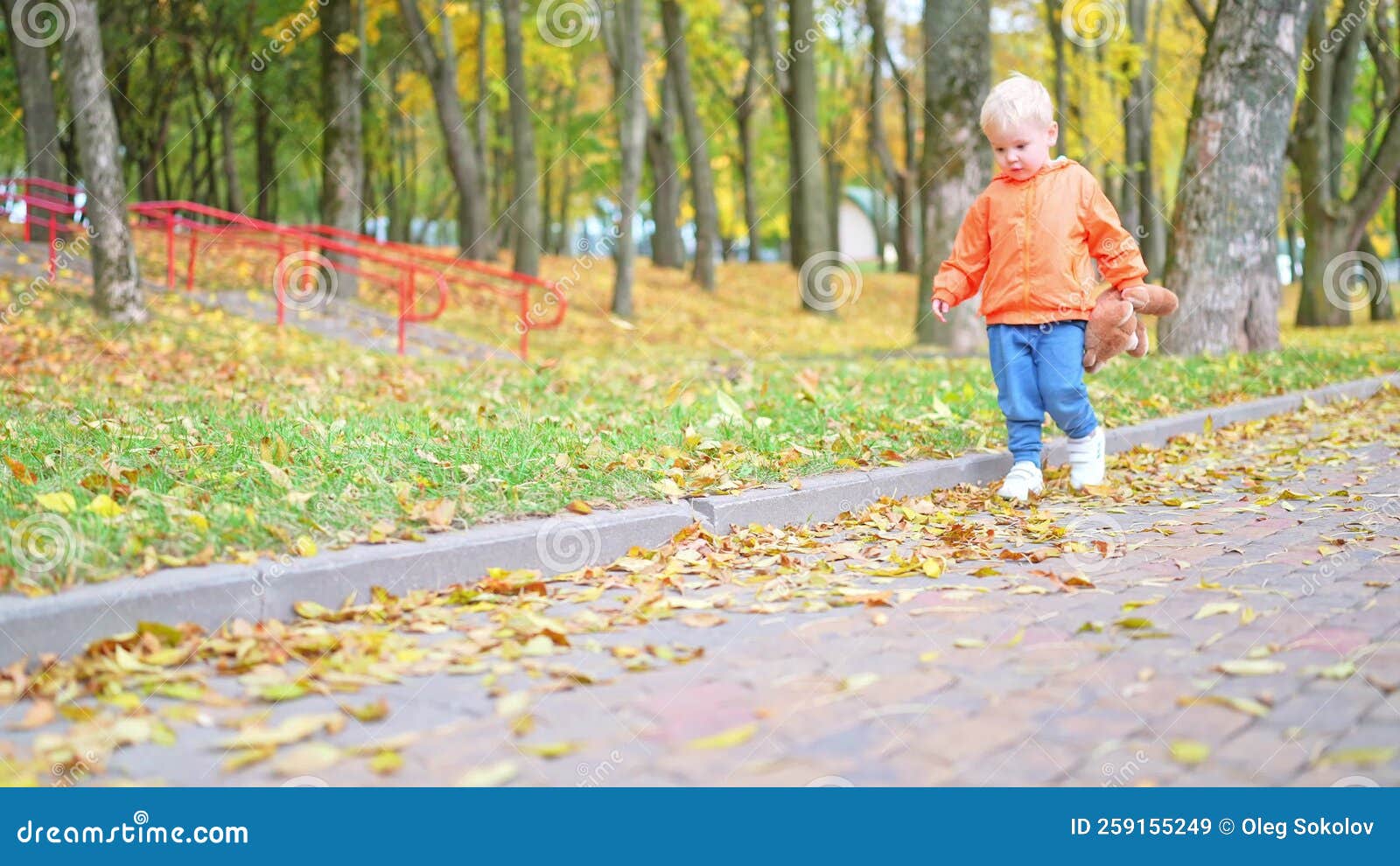 Boy Throwing Leaves with His Feet in the Park, Stock Video - Video of ...