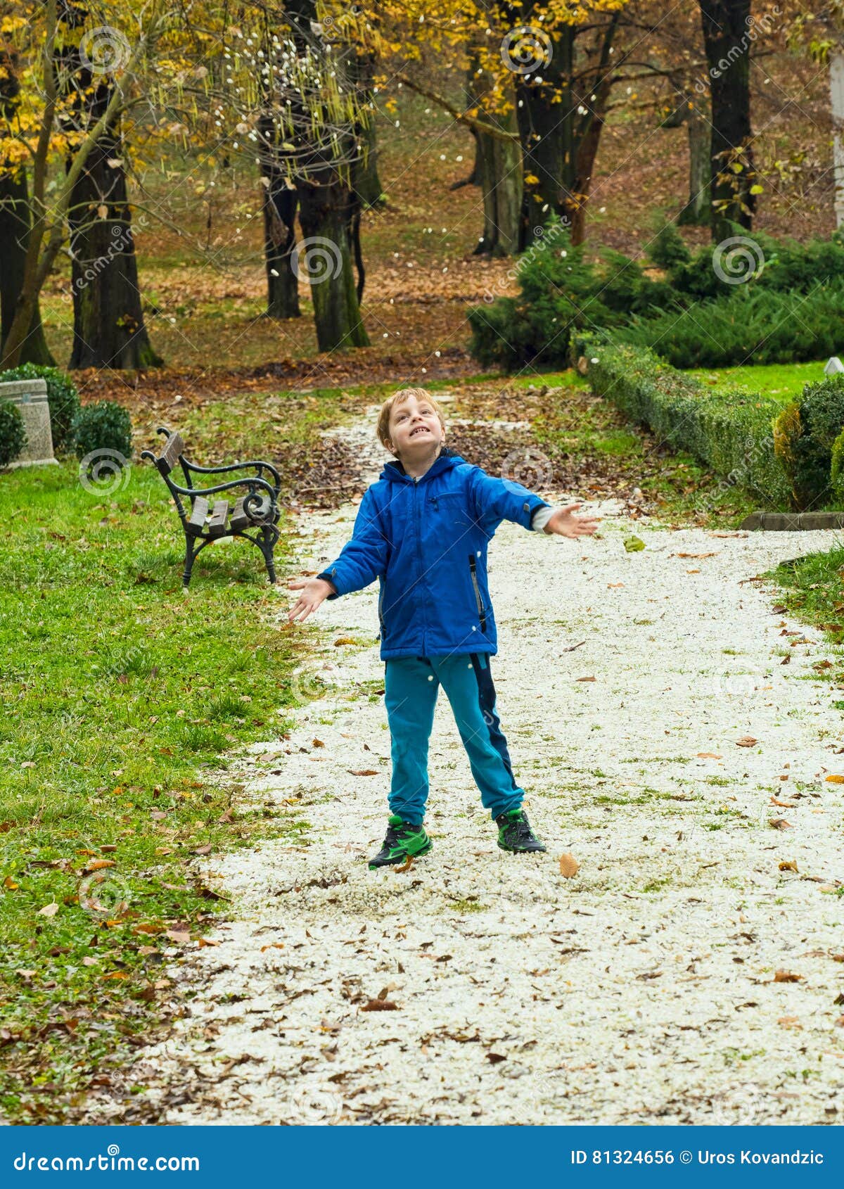 Boy throwing pebbles stock photo. Image of capture, happiness - 81324656