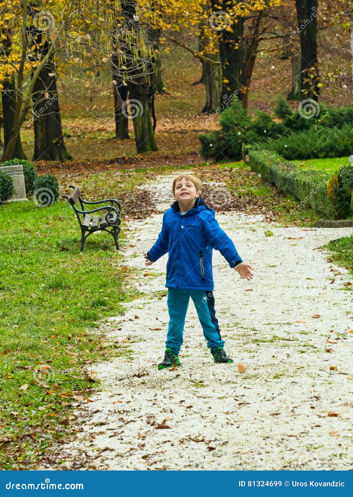 Boy throwing pebbles stock image. Image of enjoying, autumn - 81324699