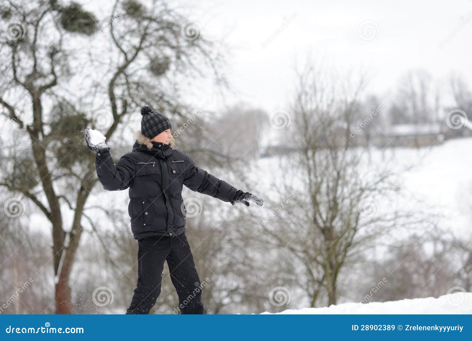 Boy throwing snowballs stock image. Image of fight, people - 28902389