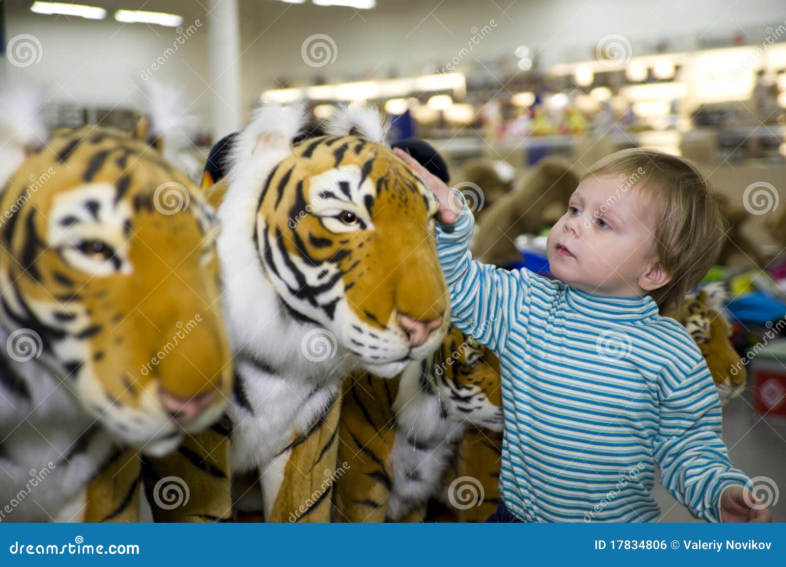 The boy and tigers stock photo. Image of shop, tiger - 17834806