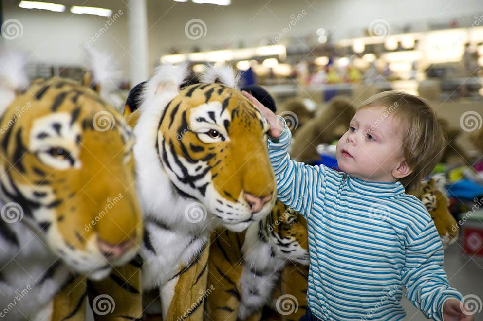 The boy and tigers stock photo. Image of shop, tiger - 17834806