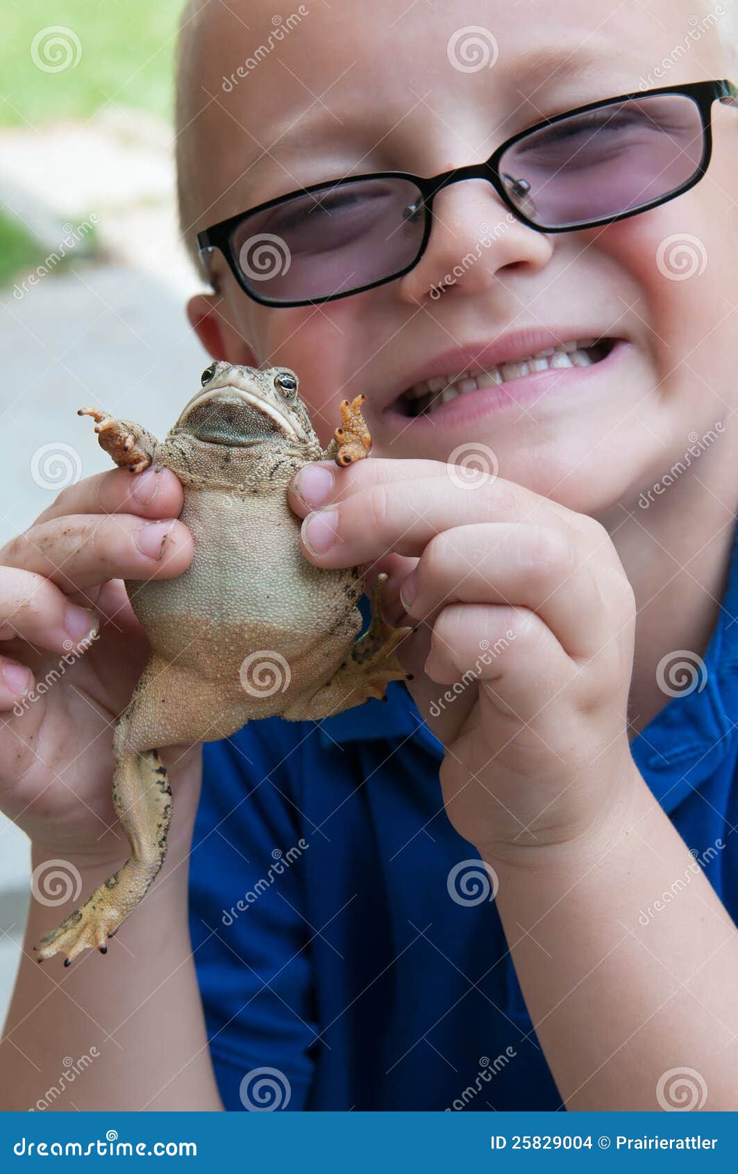 Boy and Toad stock photo. Image of curiosity, reptile - 25829004