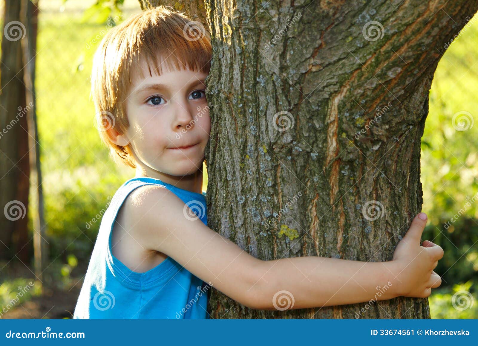 Boy Touch Tree in Forest - Child Care Ecology Stock Image - Image of ...