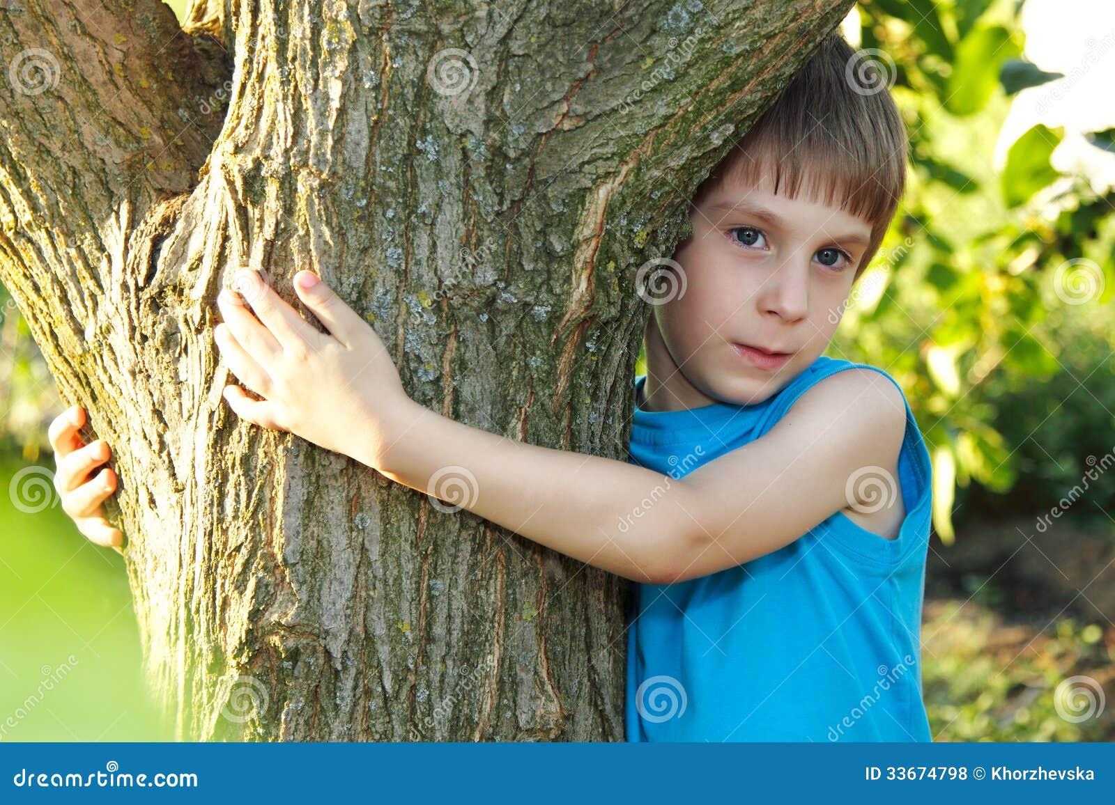 Boy Touch Tree in Forest - Child Care Ecology Stock Photo - Image of ...