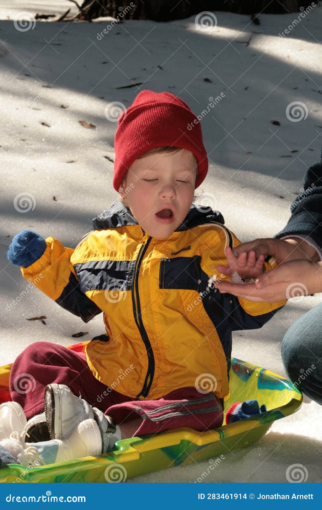 Boy Touching Ice for the First Time Stock Photo - Image of jacket, blue ...