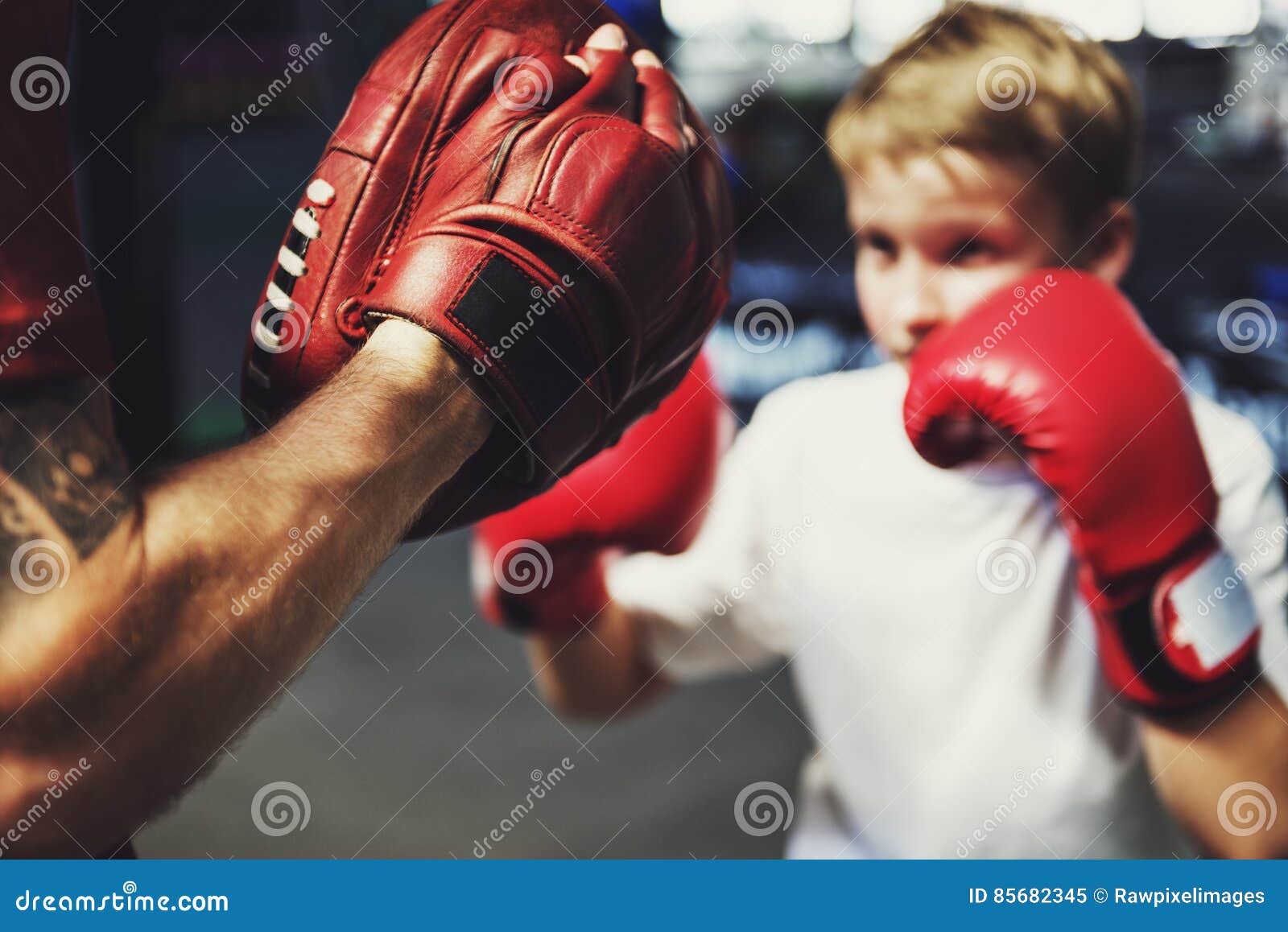 Boy Training Boxing Exercise Movement Concept Stock Image - Image of ...