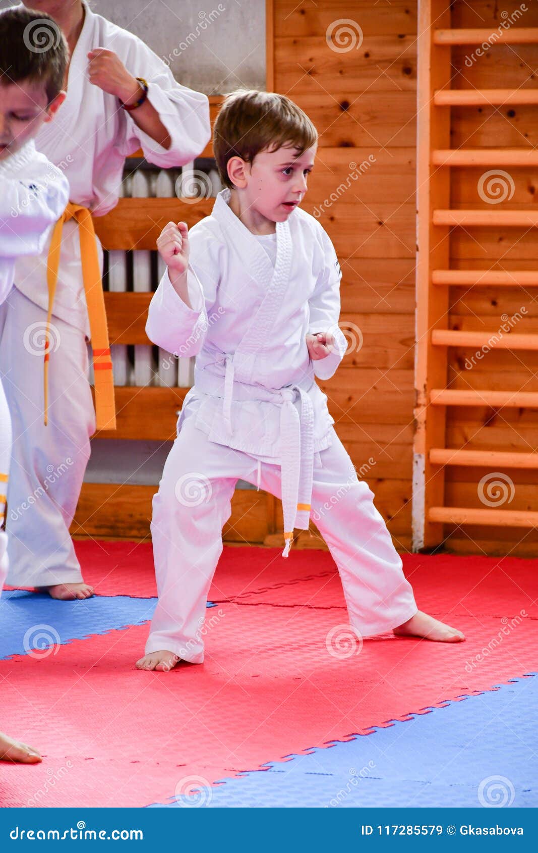 Karate training stock image. Image of jujitsu, engagement - 117285579