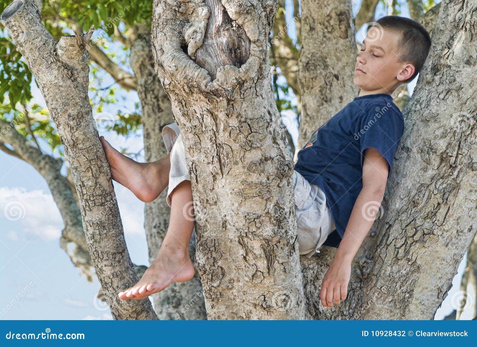 Boy in a tree stock photo. Image of child, sitting, young - 10928432