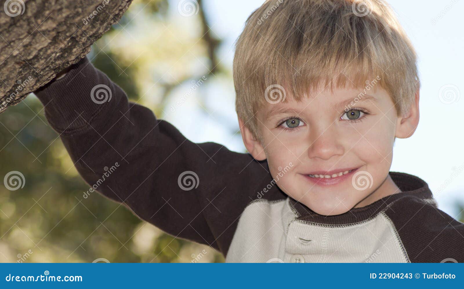 Boy in a tree stock image. Image of climb, playing, white - 22904243