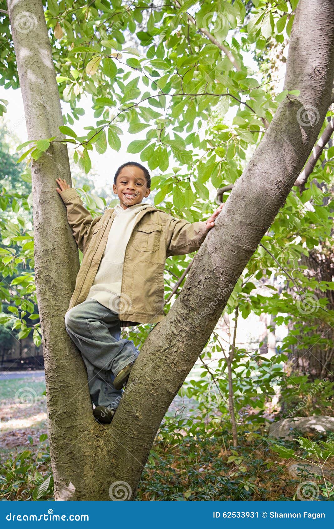 Boy in a tree stock image. Image of happiness, leaf, autumn - 62533931