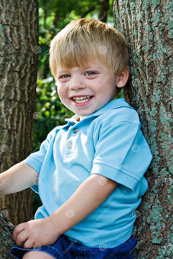 Boy in tree stock photo. Image of blue, tree, climb, cute - 6702484