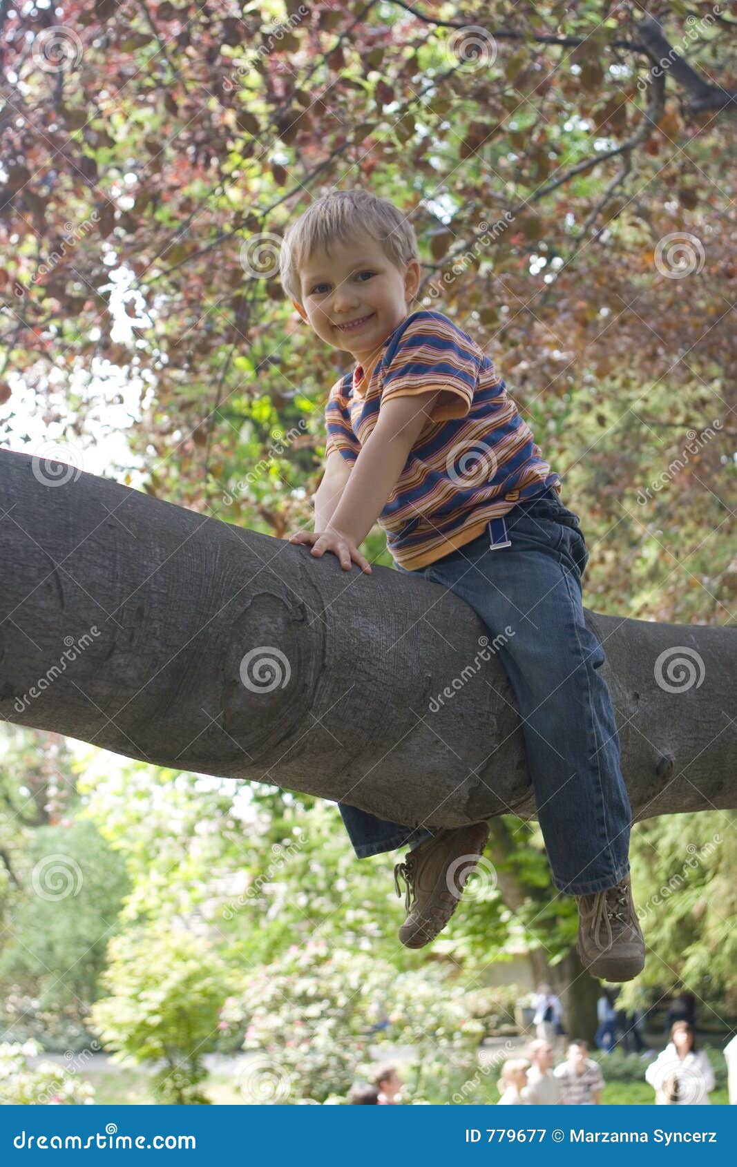 Boy on the tree stock image. Image of lovely, happy, face - 779677