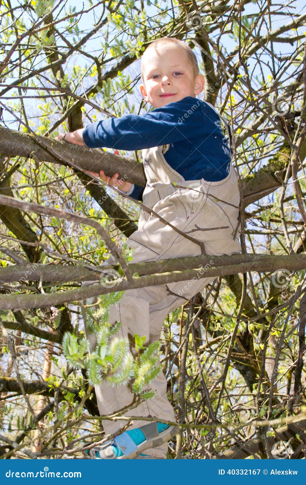 Boy in a tree stock image. Image of arms, lighting, behold - 40332167