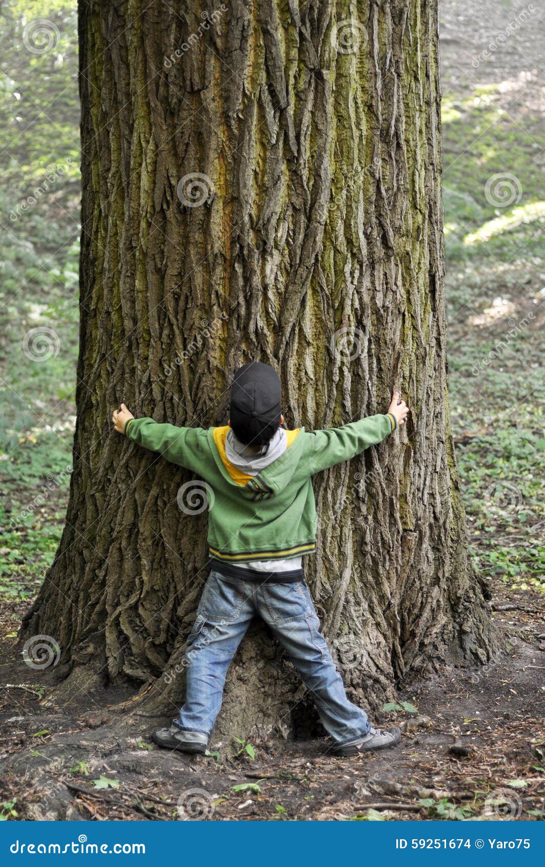 Boy & tree stock photo. Image of caucasian, environmental - 59251674