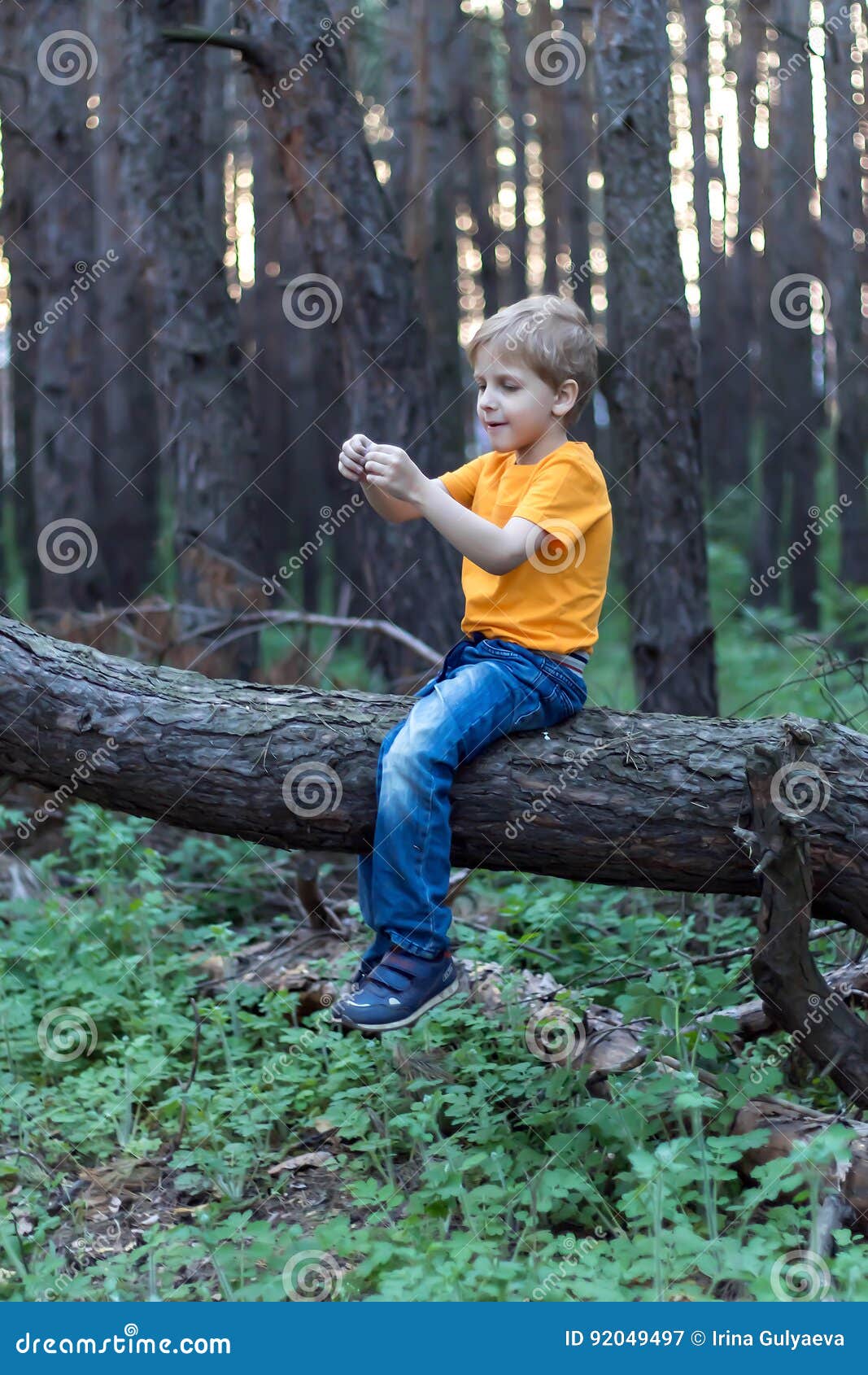 The boy on the tree stock image. Image of healthy, learning - 92049497