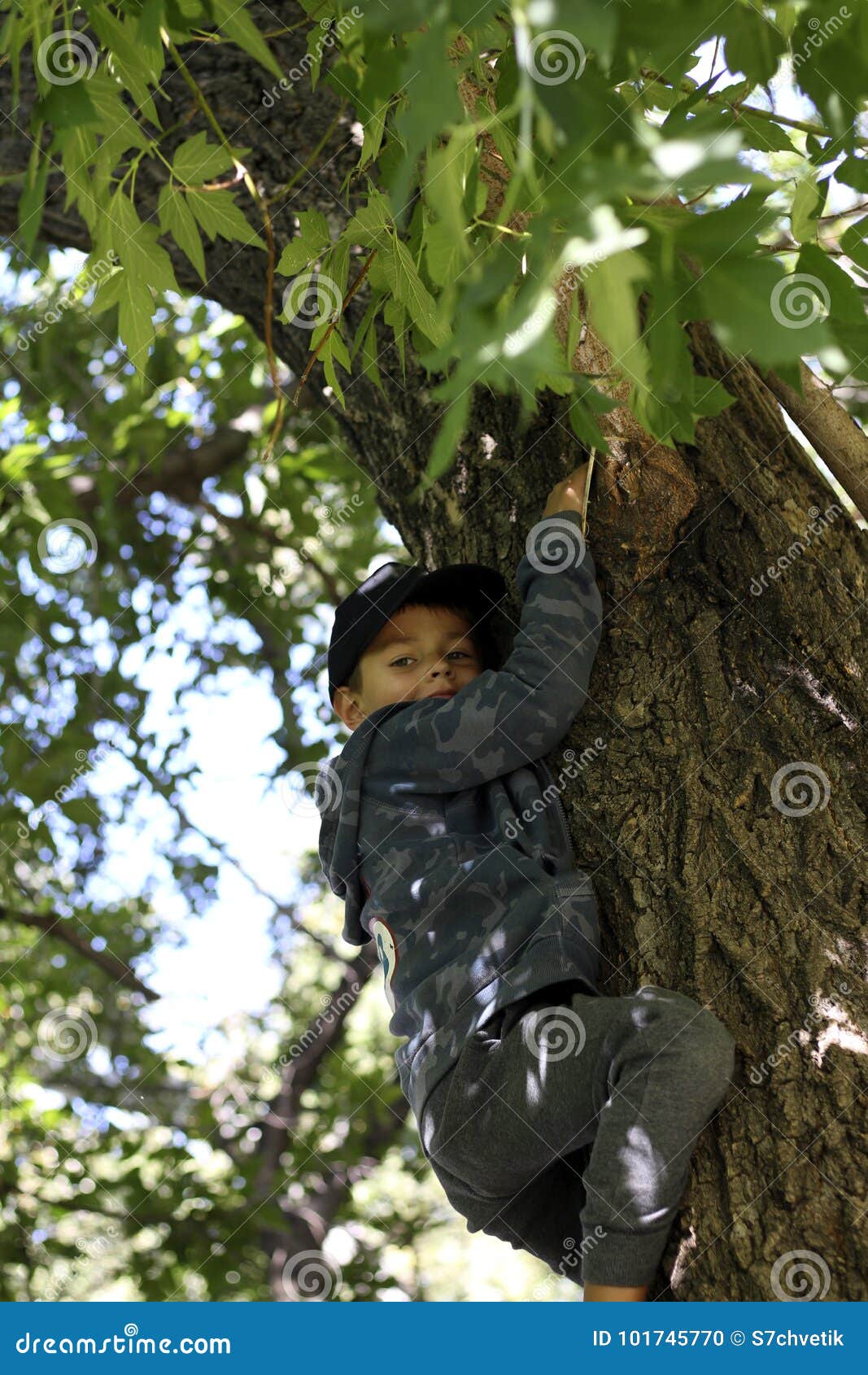 The boy on the tree stock photo. Image of lifestyle - 101745770