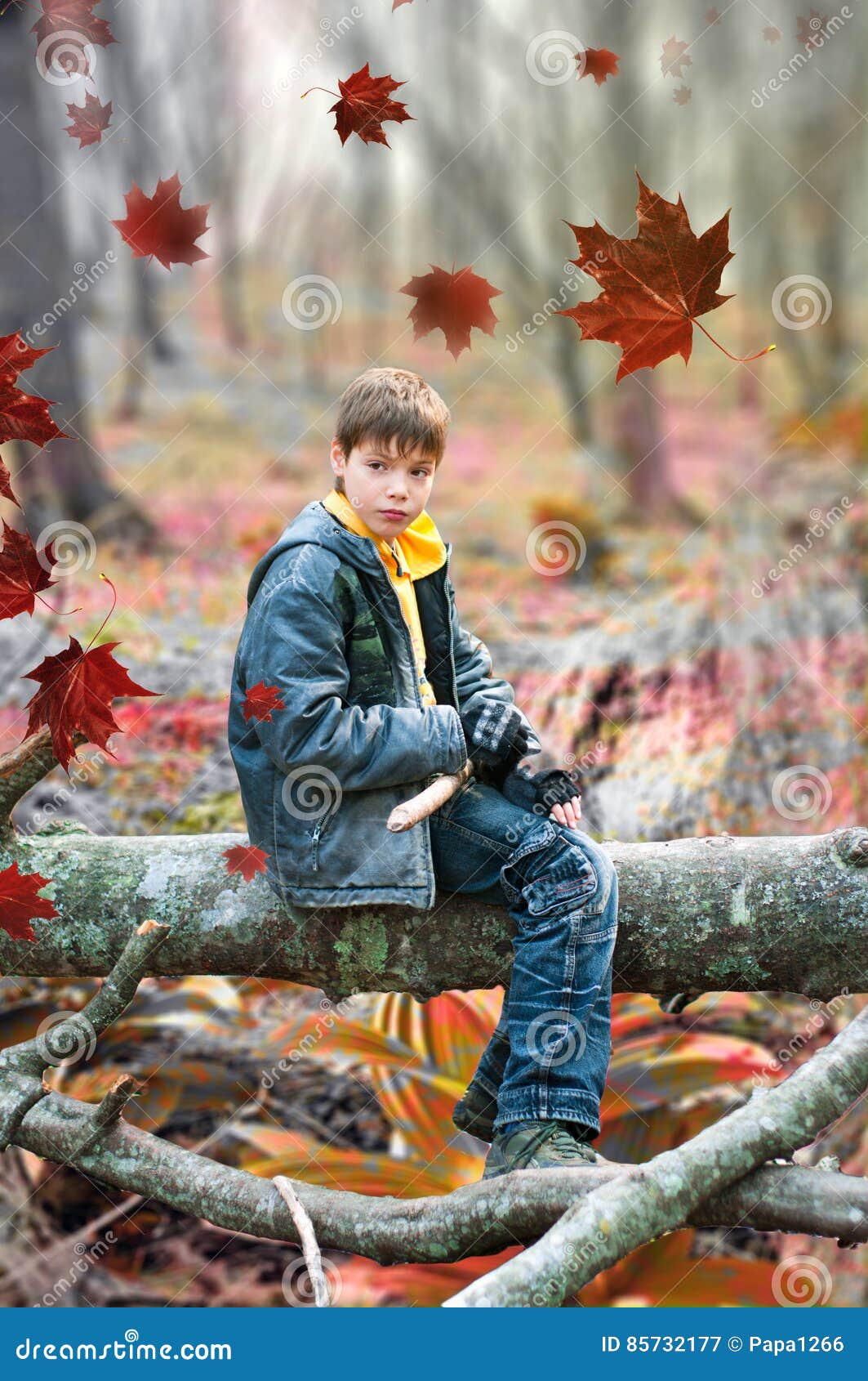Boy on tree stock image. Image of wood, dump, branch - 85732177
