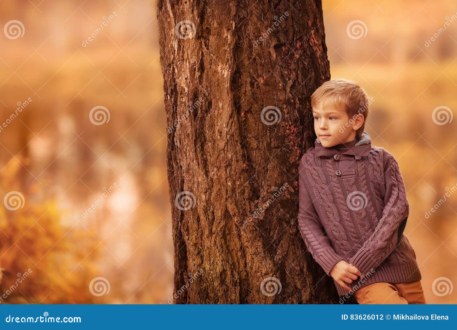 The boy at the tree. stock photo. Image of blond, forest - 83626012