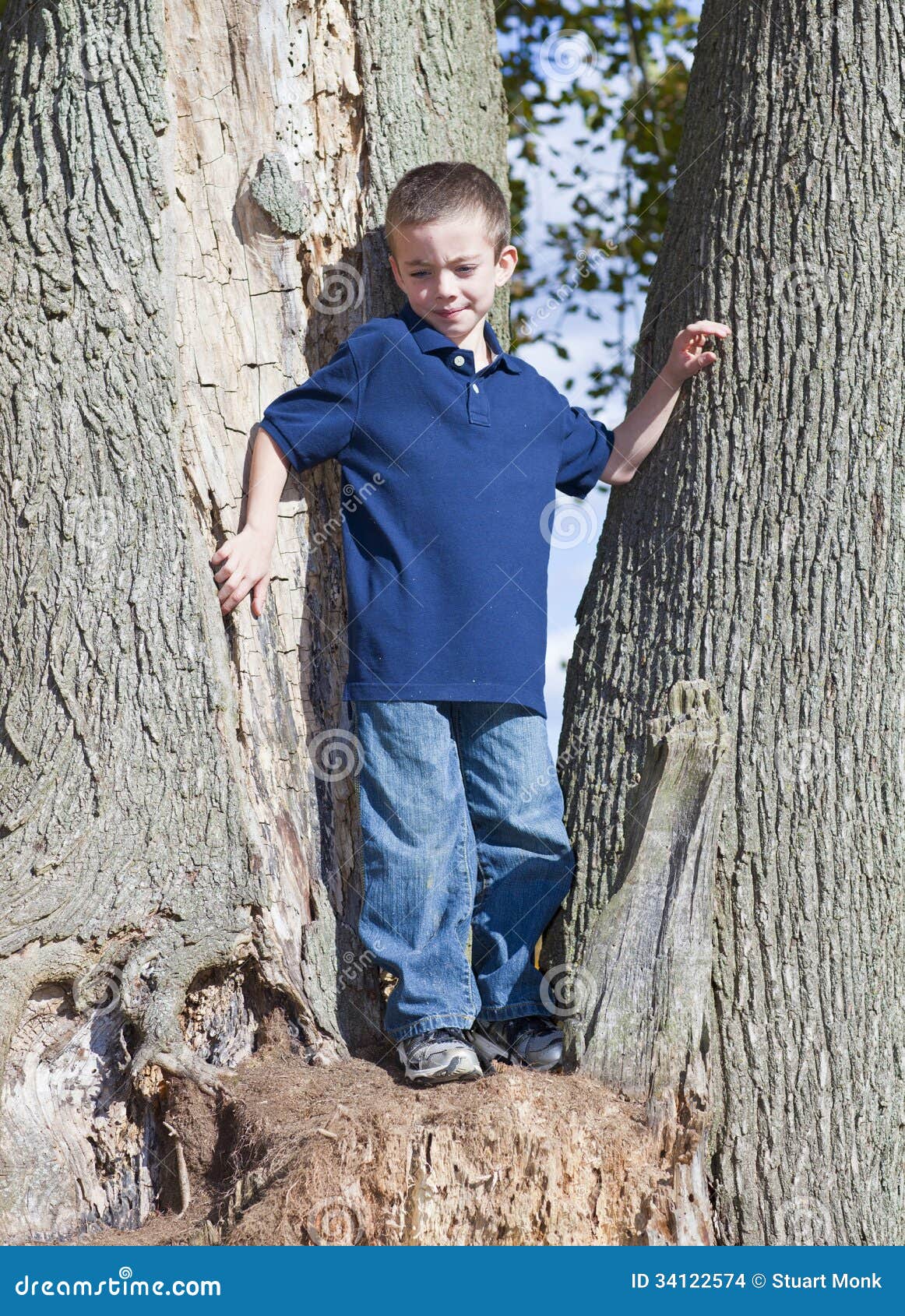 Boy in tree stock photo. Image of childhood, alone, tree - 34122574