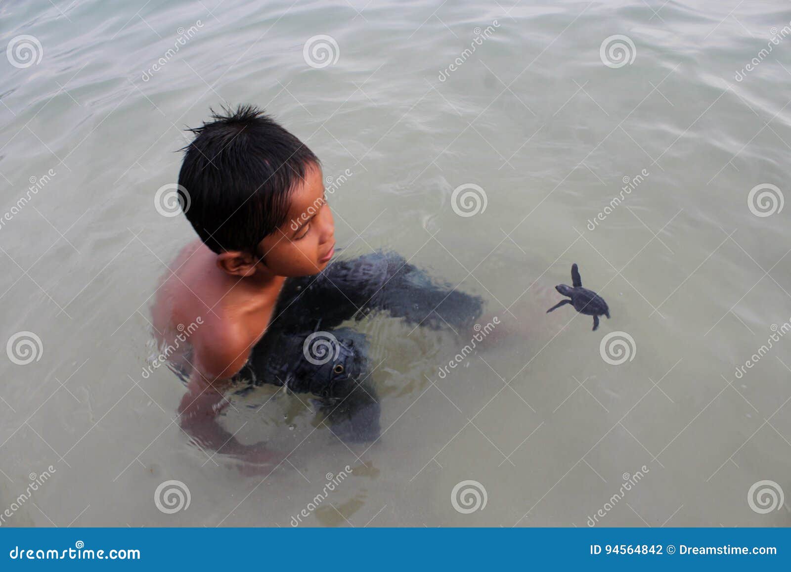 Boy and Turtle editorial photography. Image of turtles - 94564842