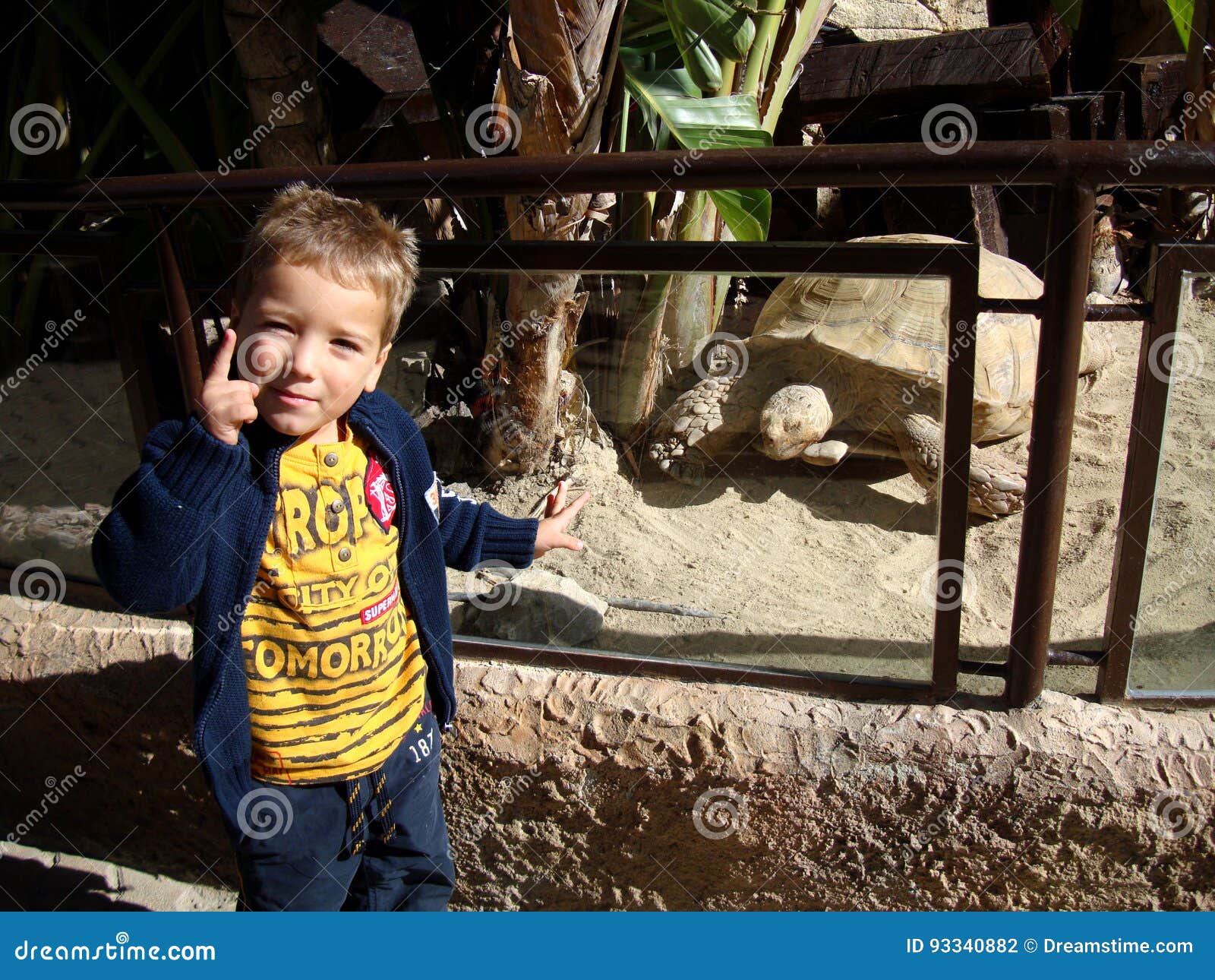 Boy and a turtle stock photo. Image of blondy, reptiles - 93340882