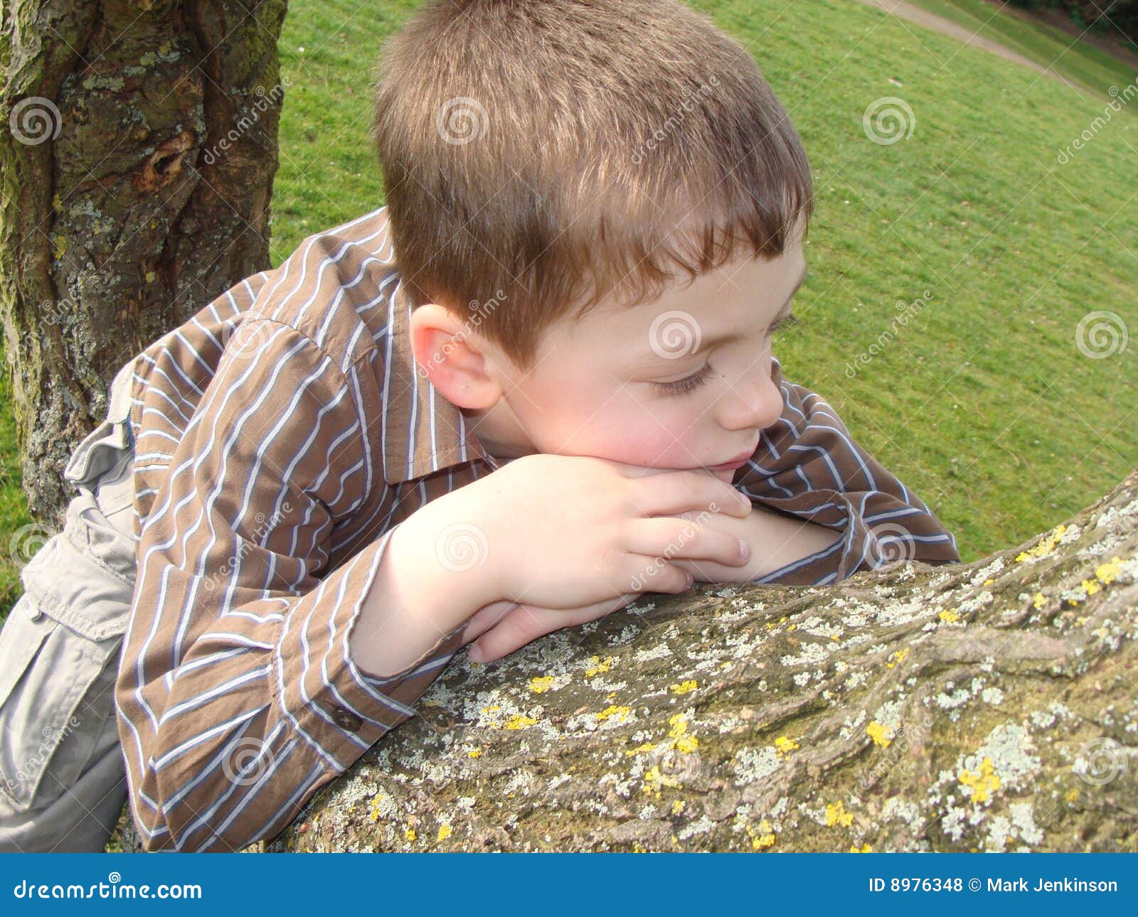 Boy up a tree stock photo. Image of dreaming, thoughtful - 8976348