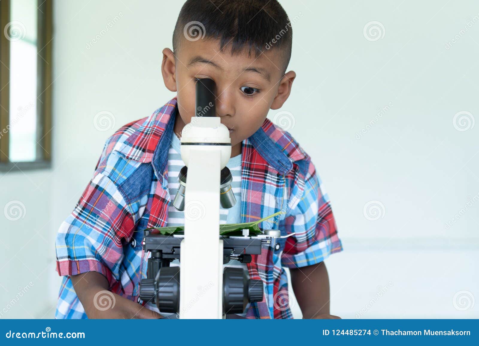 Asian Boy Use Microscope in Lab for Research Stock Photo - Image of ...
