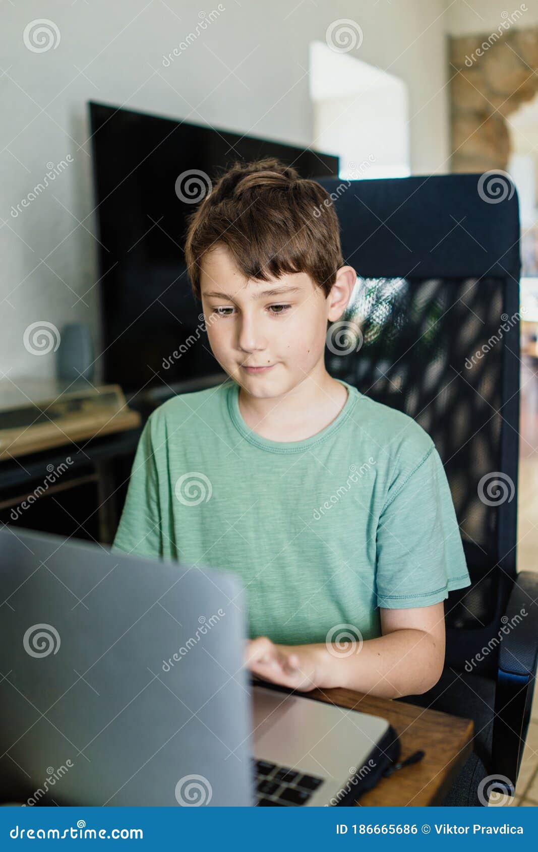 Boy using laptop stock photo. Image of internet, playing - 186665686